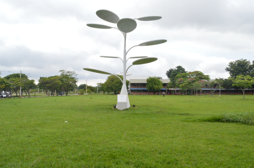 Qual a Importância da Sustentabilidade? Os 3 Principais!